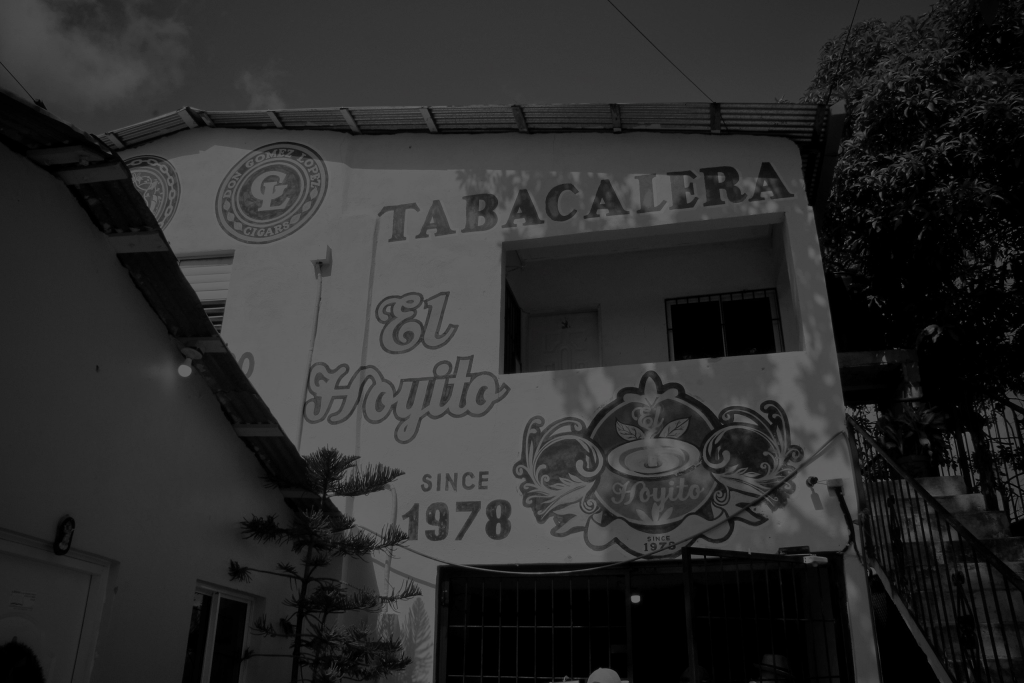 Contact Us - Detra’s story